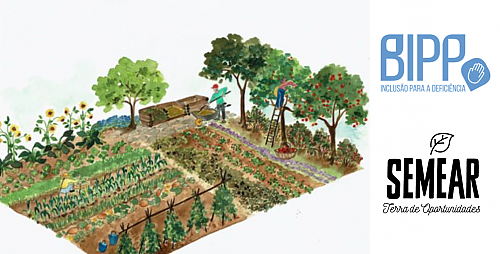 Projeto m2 | Associação BIPP - SEMEAR - Notícias, Notícias - Fundação ...